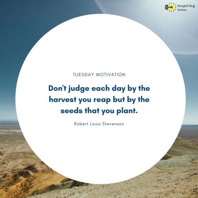 Best Motivational Tuesday Quotes to Give You Momentum - Inspiring Wishes